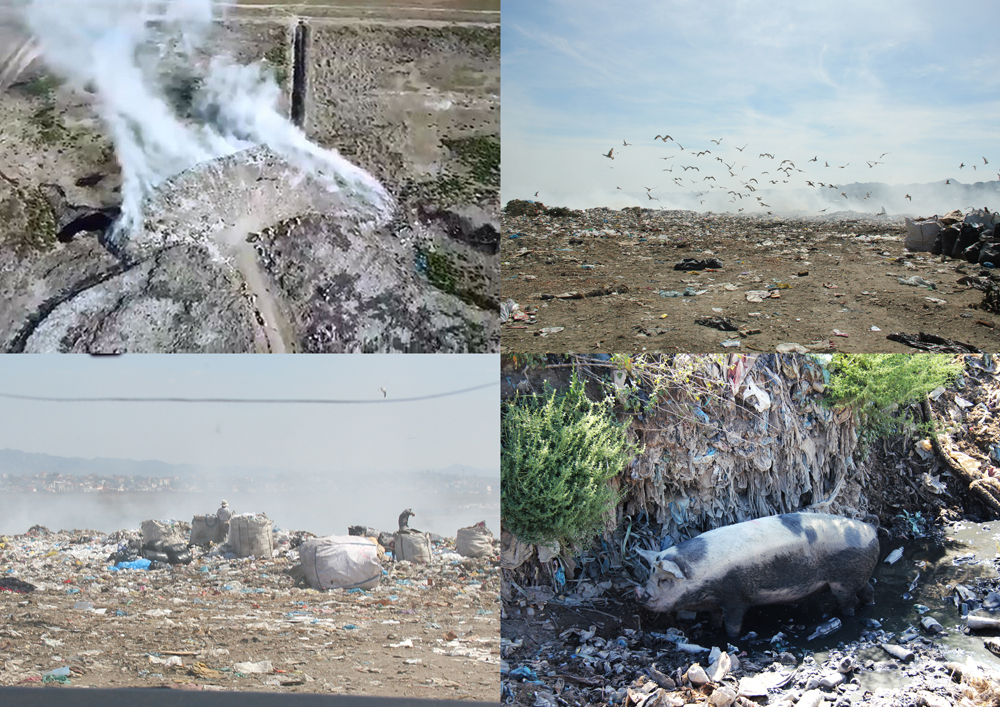 Eco Park Durres (1st phase) | EUmies Awards